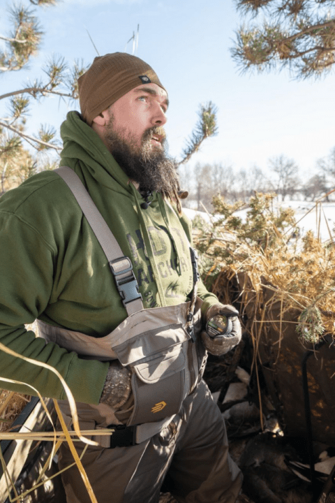 About | Wolfe Untamed