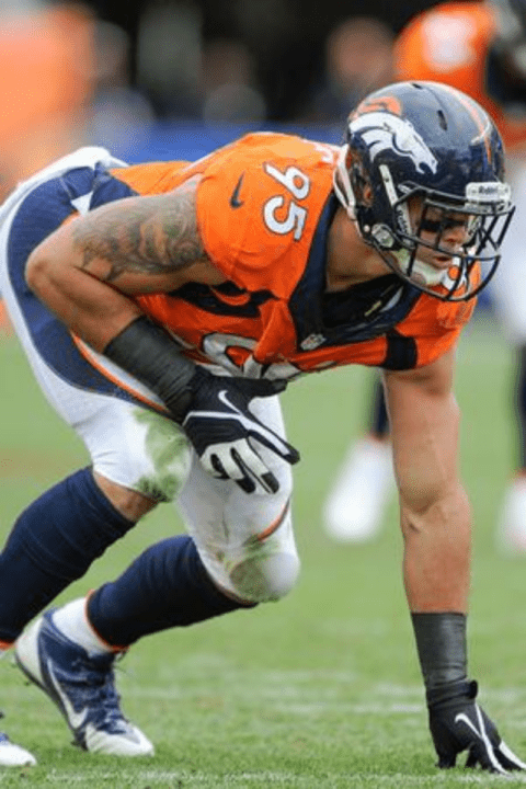 About | Wolfe Untamed